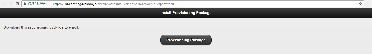 Windows デバイス情報作成（個別）